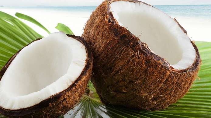 El Caribe entero dentro de un coco | CostaClub