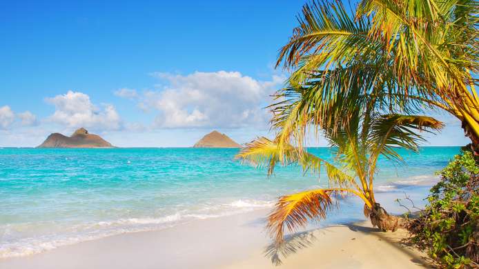 Las Mejores Playas Hawaianas Para Familias