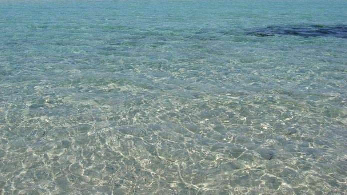 Las 20 playas más bonitas de la Isla de Elba | Costa Cruceros