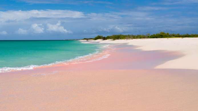 Playas de Barbuda: 7 lugares de ensueño para ver | C-Magazine
