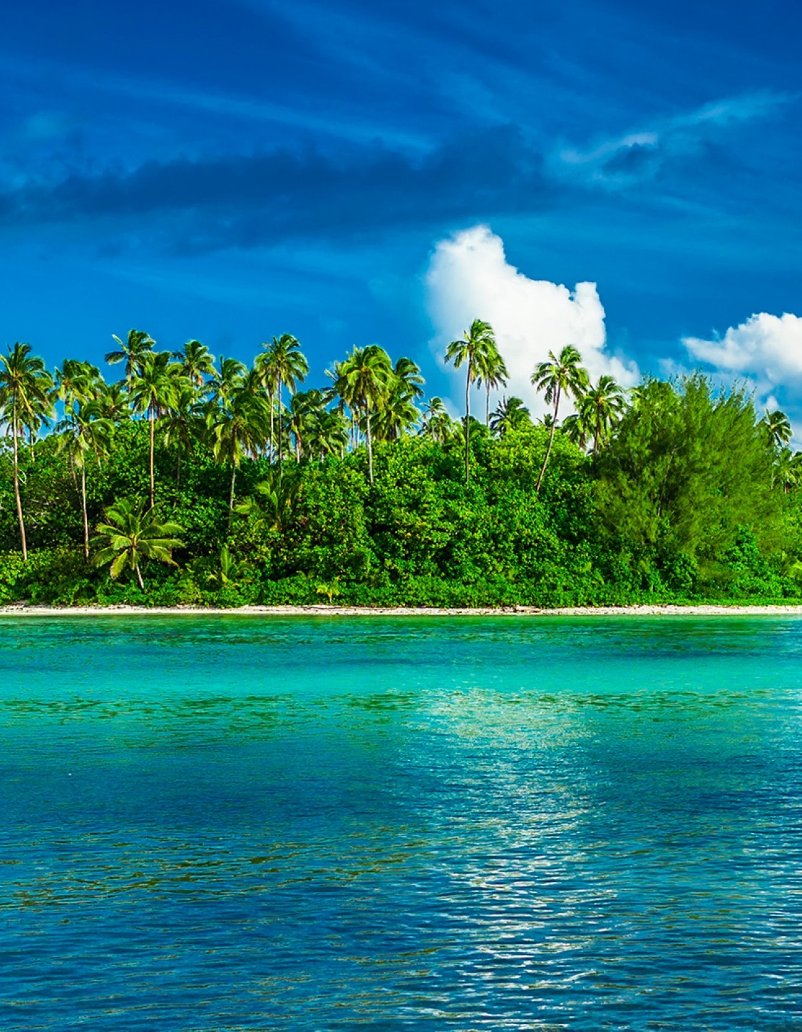 Cruceros por Islas Cook: precios, ofertas y itinerarios | Costa Cruceros