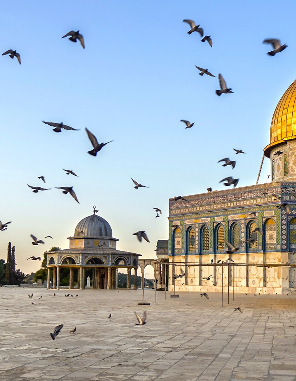 Cruceros por Israel: precios, ofertas y itinerarios | Costa Cruceros