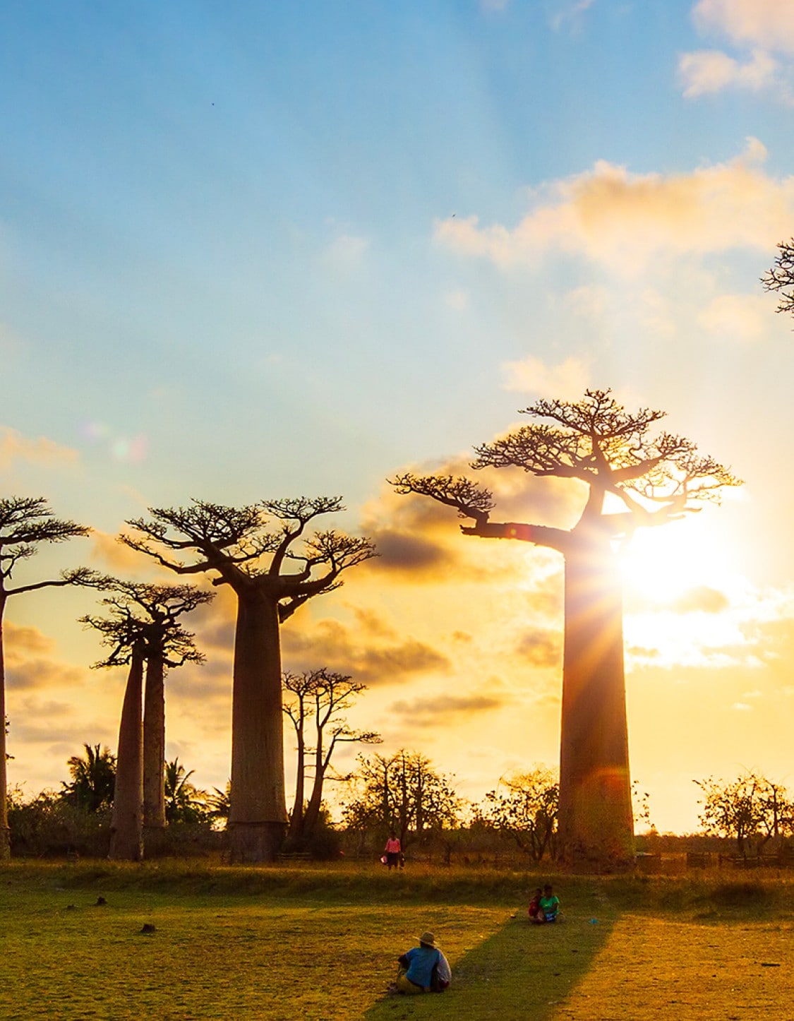 Cruceros por Madagascar: precios, ofertas y itinerarios | Costa Cruceros